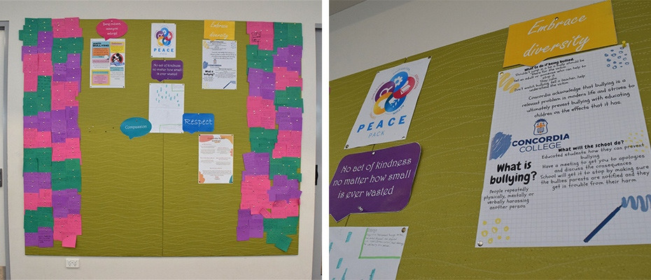 Year 7 Peace Packs - Concordia College