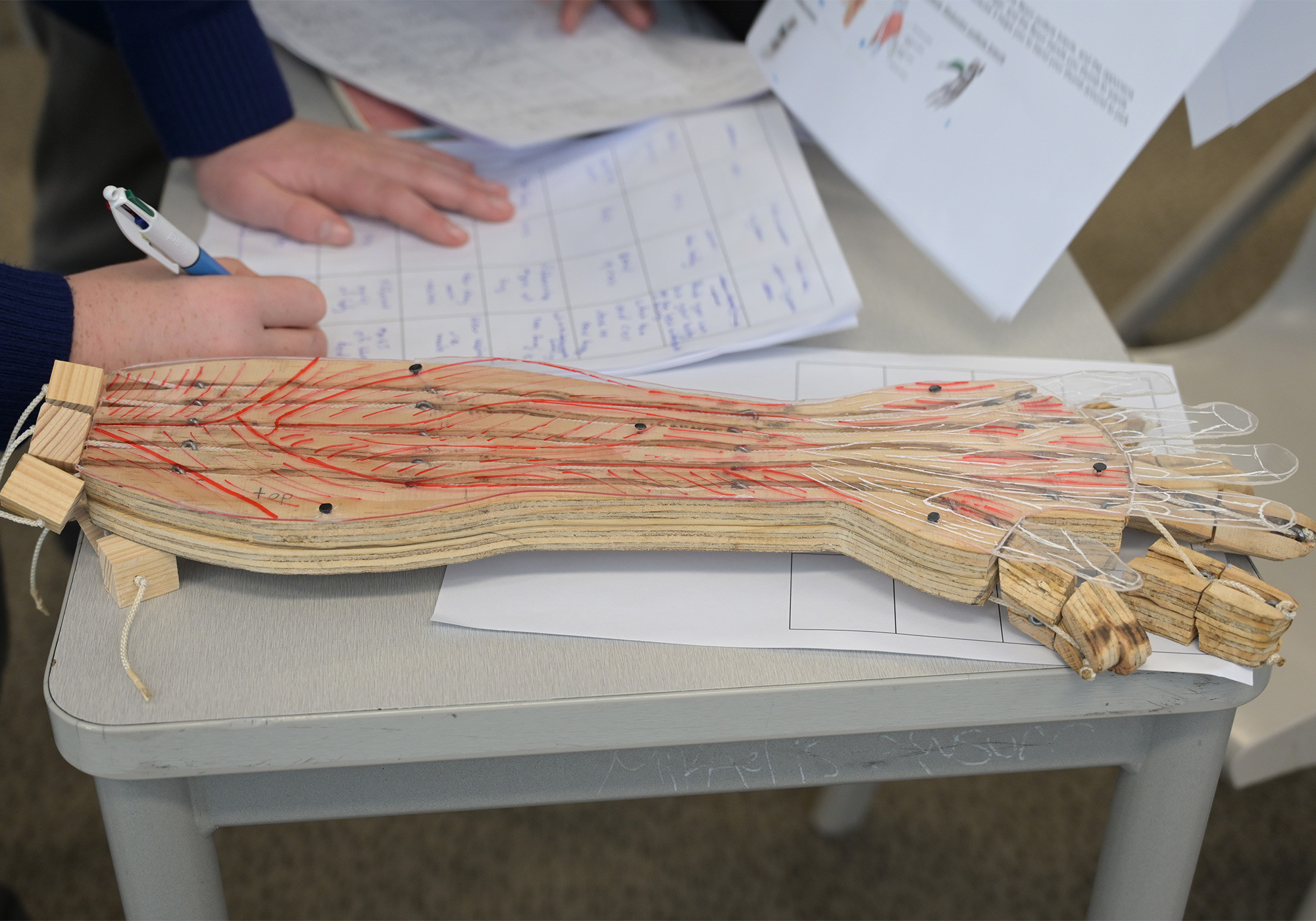 Year 8 Oliphant Science Awards - Concordia College