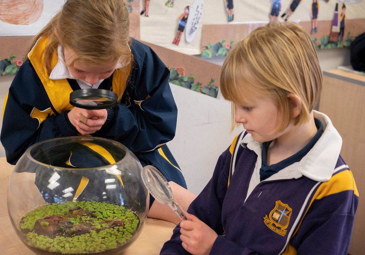Year 2s Study Biological Sciences - Concordia College