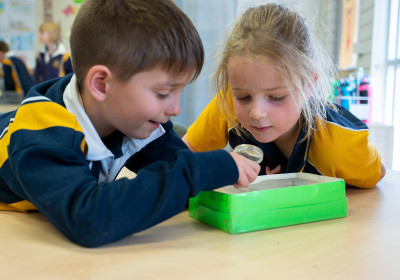 Year 2s Study Biological Sciences - Concordia College