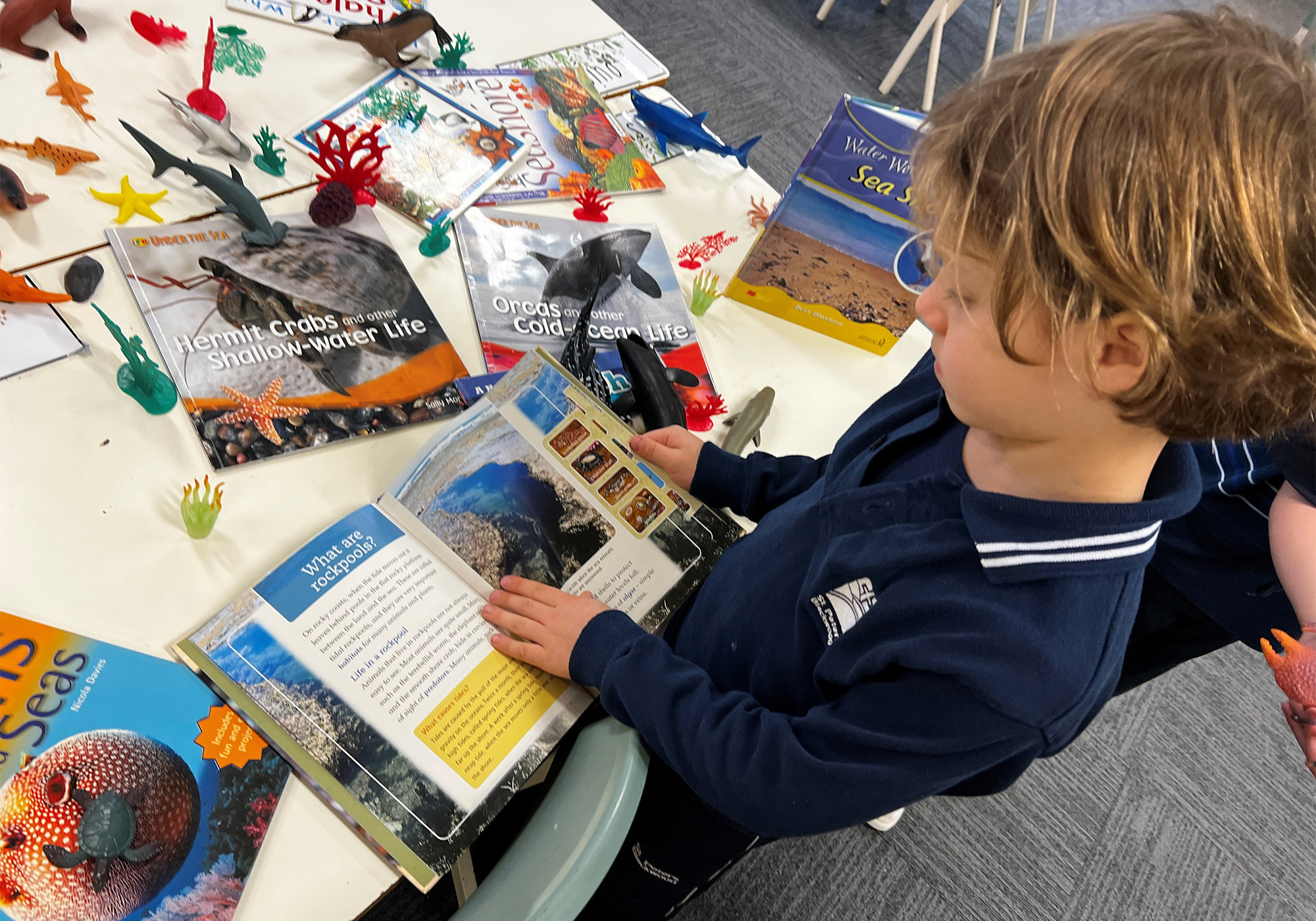 St Peters Campus Year 1 and 2 'Sharing the Planet' Inquiry - Concordia ...