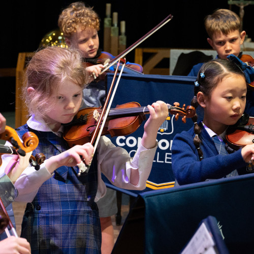 Concordia Connect - Concordia College